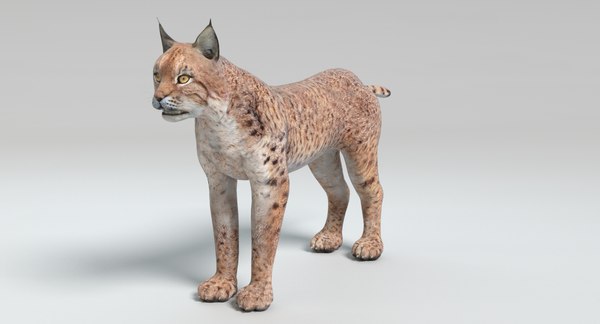 Realistic animals 3D model - TurboSquid 1176755