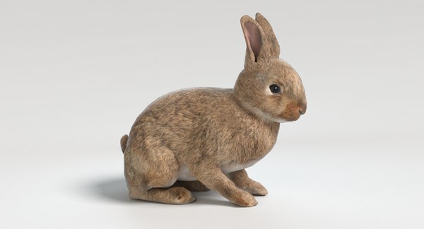 Realistic animals 3D model - TurboSquid 1176755