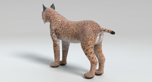 Realistic animals 3D model - TurboSquid 1176755