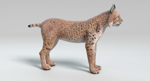 Realistic animals 3D model - TurboSquid 1176755