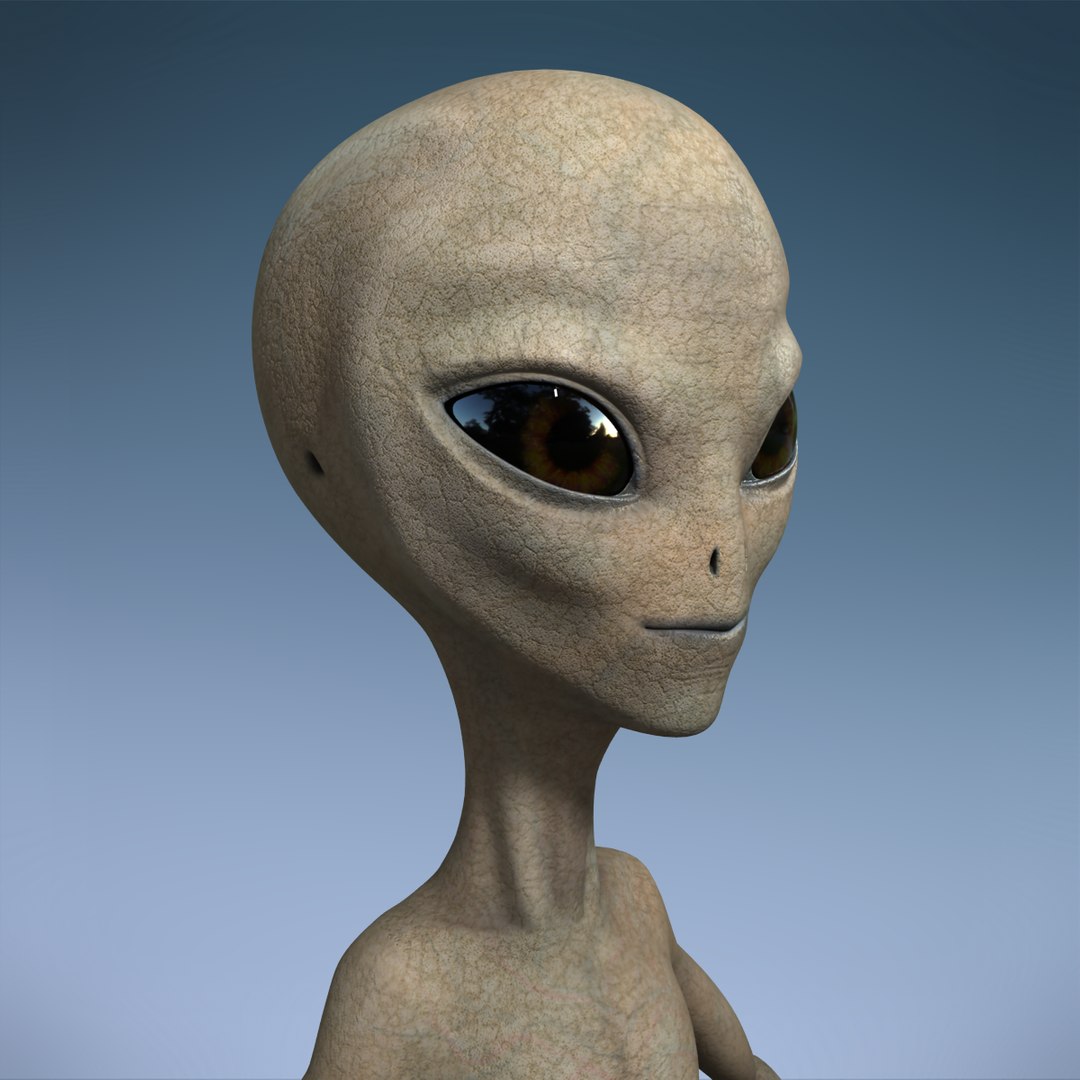 3d Model Of - Grey Alien Rigged