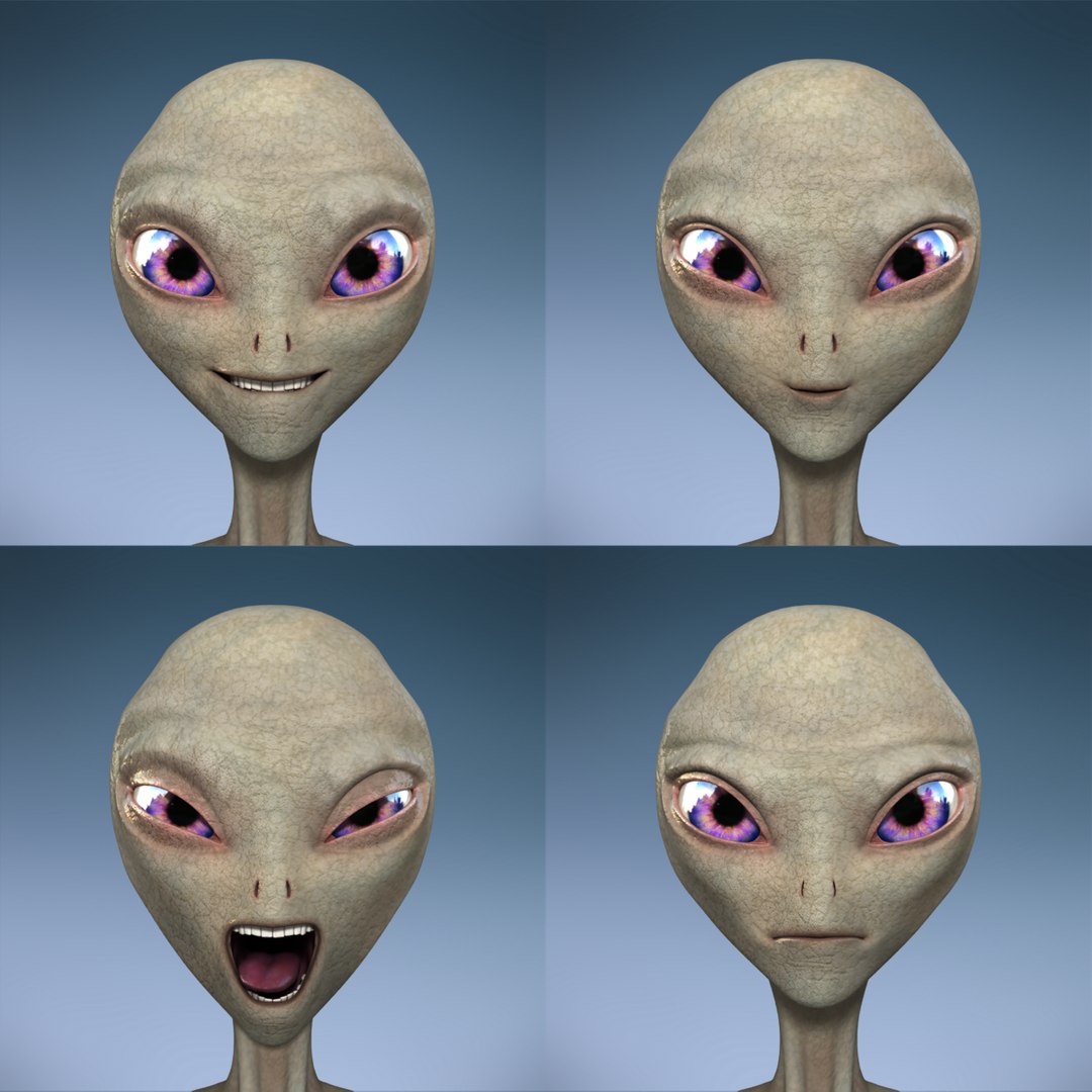 3d Model Of - Grey Alien Rigged