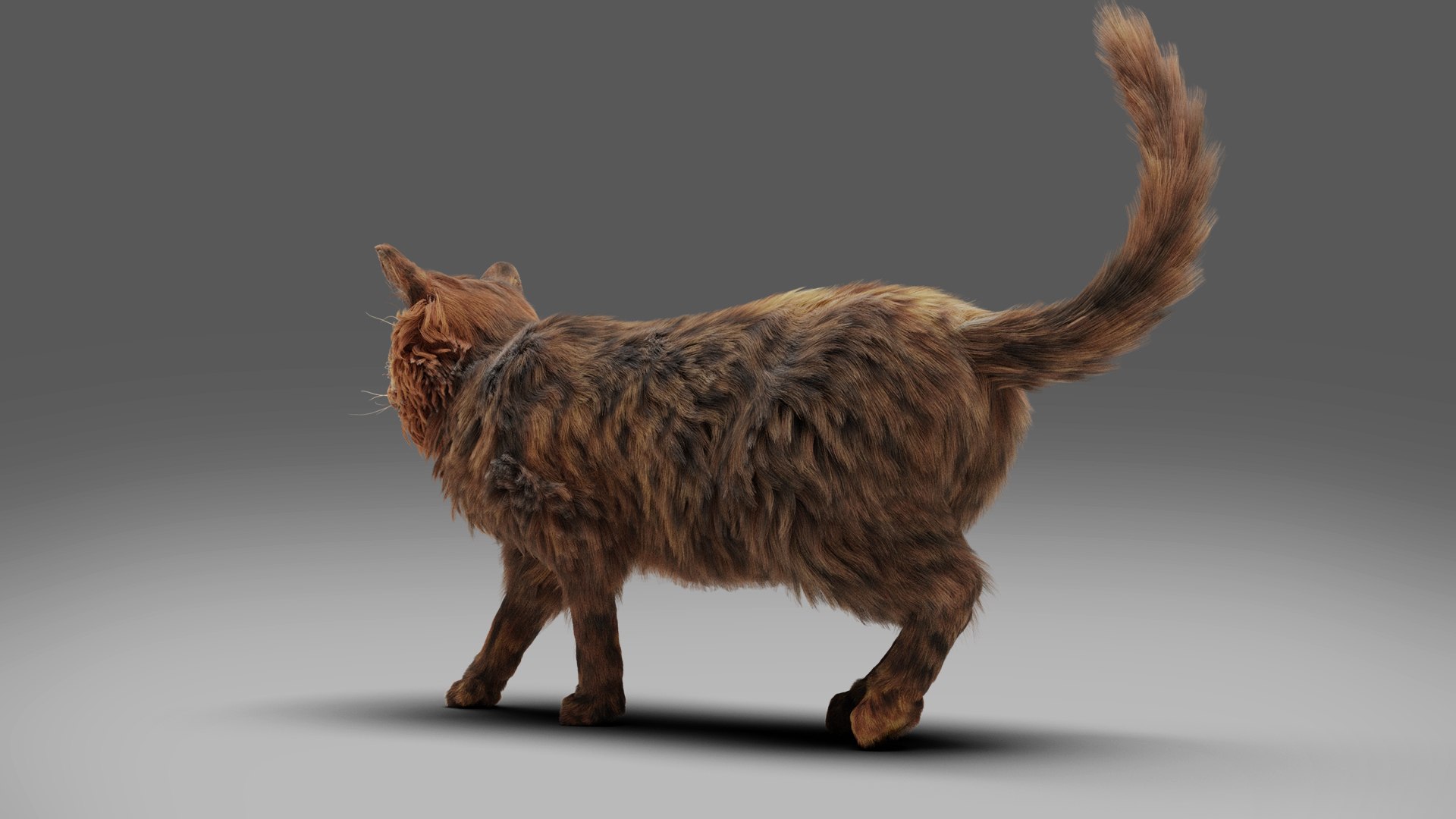 3D Fur Cat Grey Rigged And Animated - TurboSquid 1981402