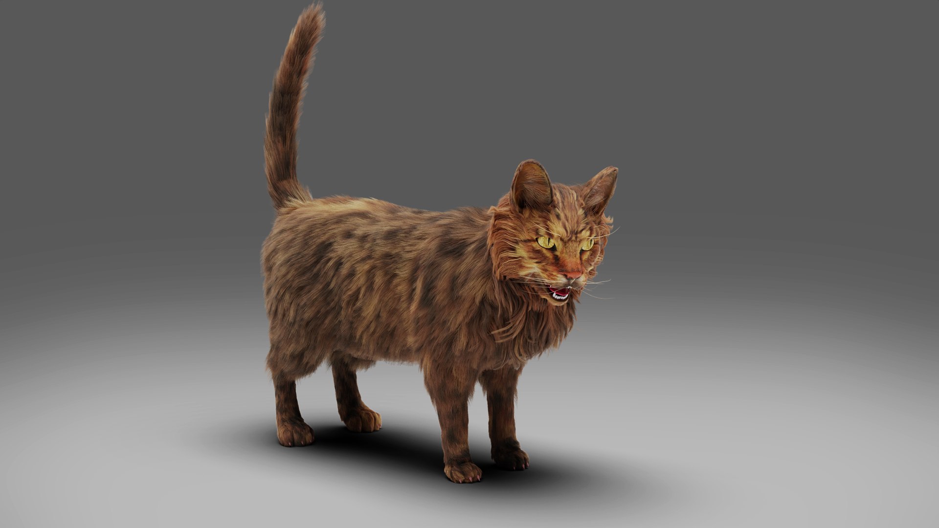 3D Fur Cat Grey Rigged And Animated - TurboSquid 1981402