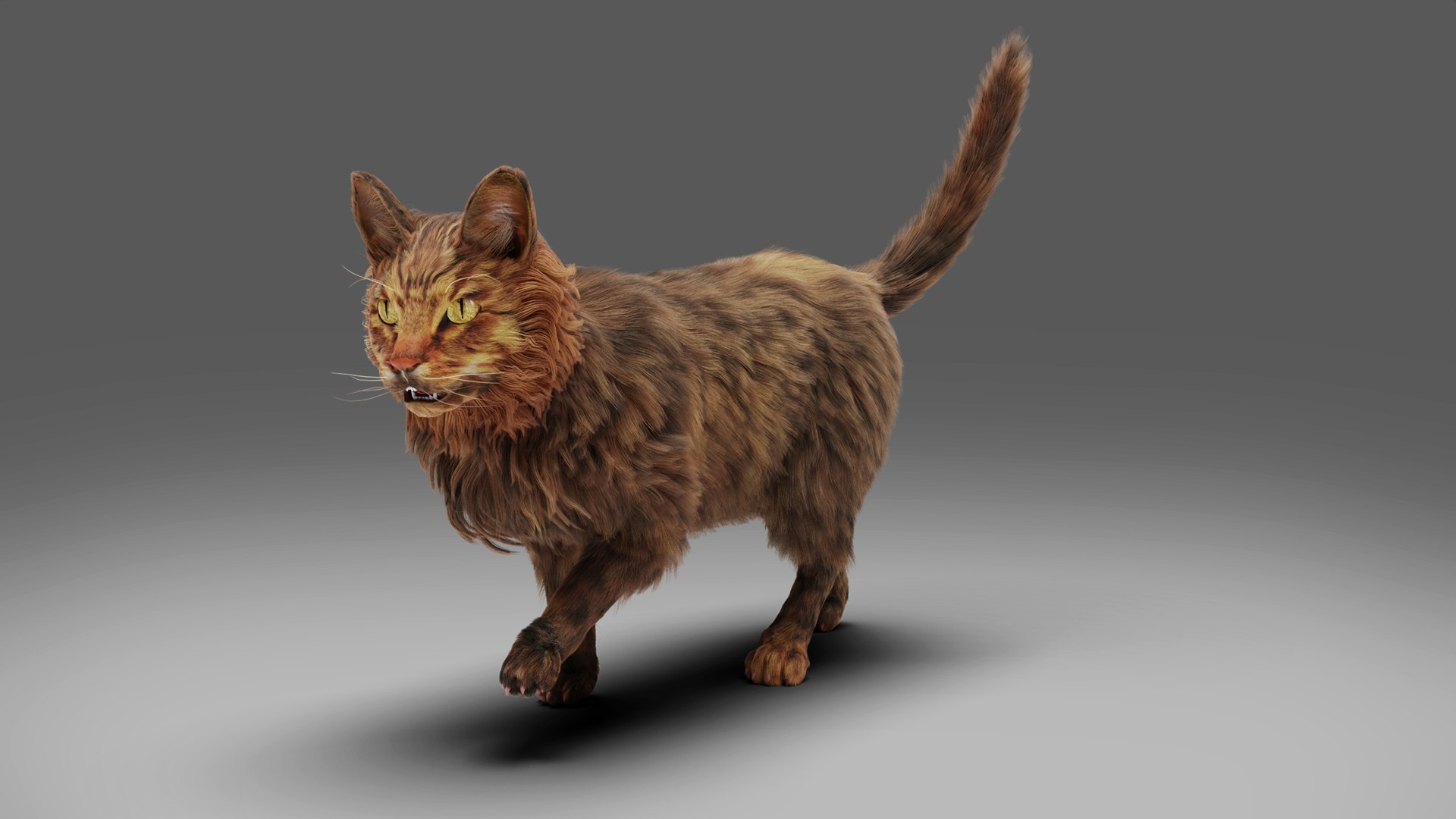 3D Fur Cat Grey Rigged And Animated - TurboSquid 1981402