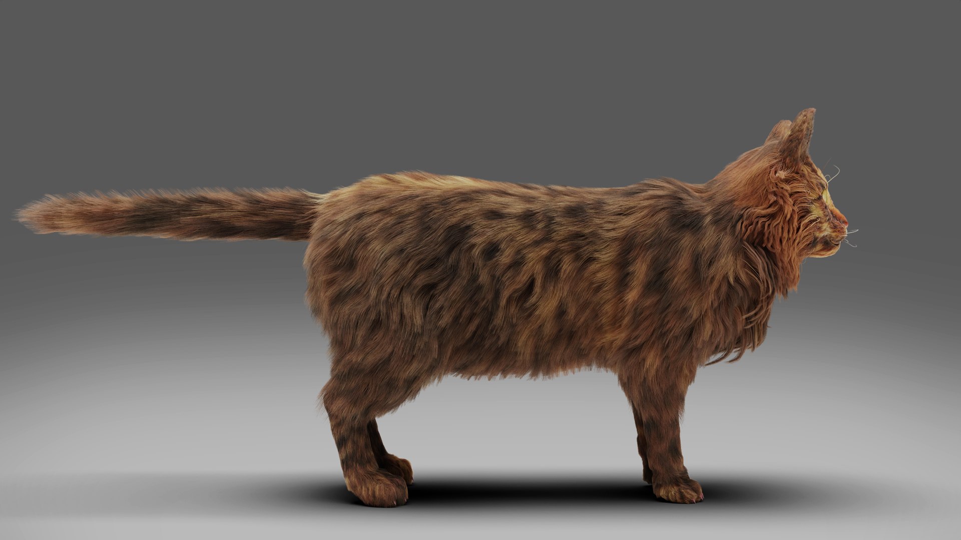 3D Fur Cat Grey Rigged And Animated - TurboSquid 1981402