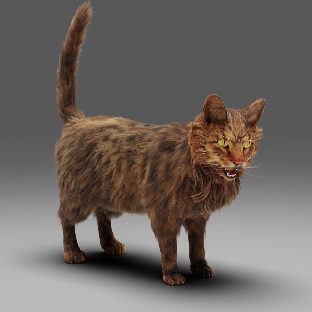 3D Fur Cat Grey Rigged And Animated - TurboSquid 1981402
