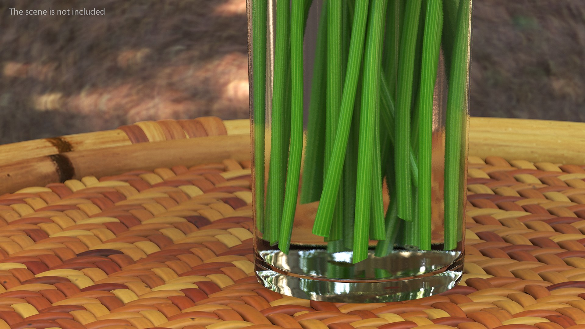 Dill Water Glass 3D model - TurboSquid 1894128