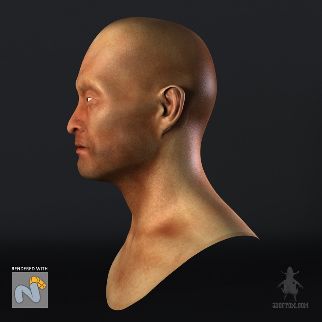 3d Model Male Head