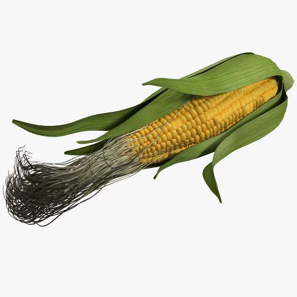 Corn On The Cob 3D Models for Download | TurboSquid