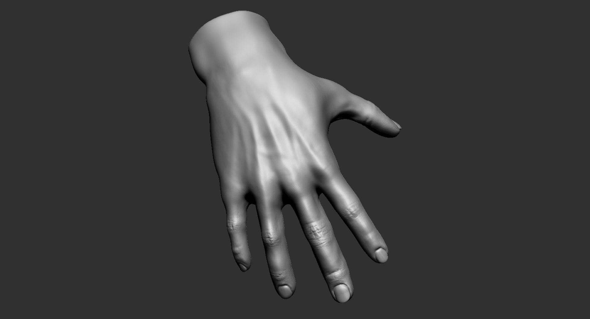 Human Muscular Hand 2019 3D - TurboSquid 1440075