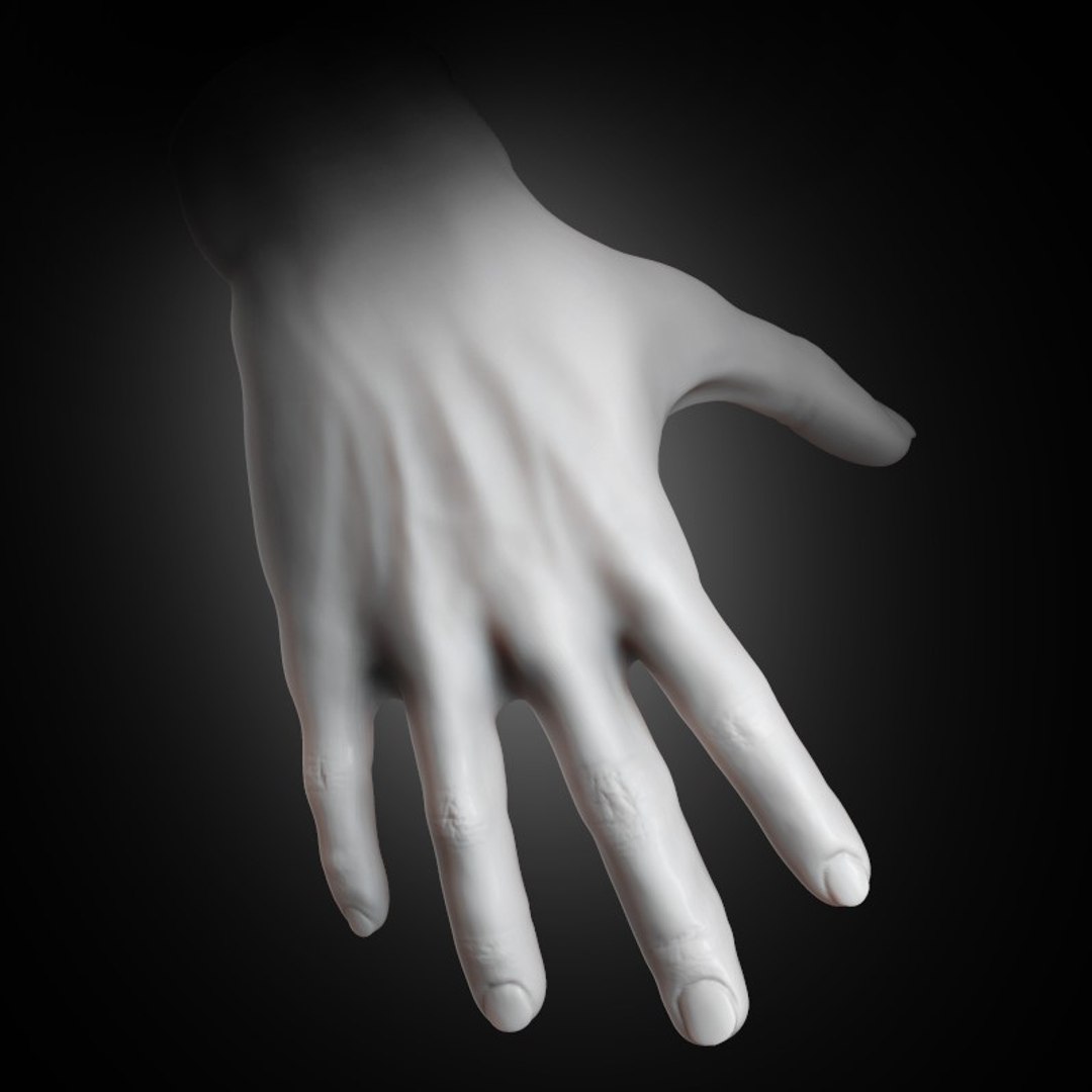 Human Muscular Hand 2019 3D - TurboSquid 1440075