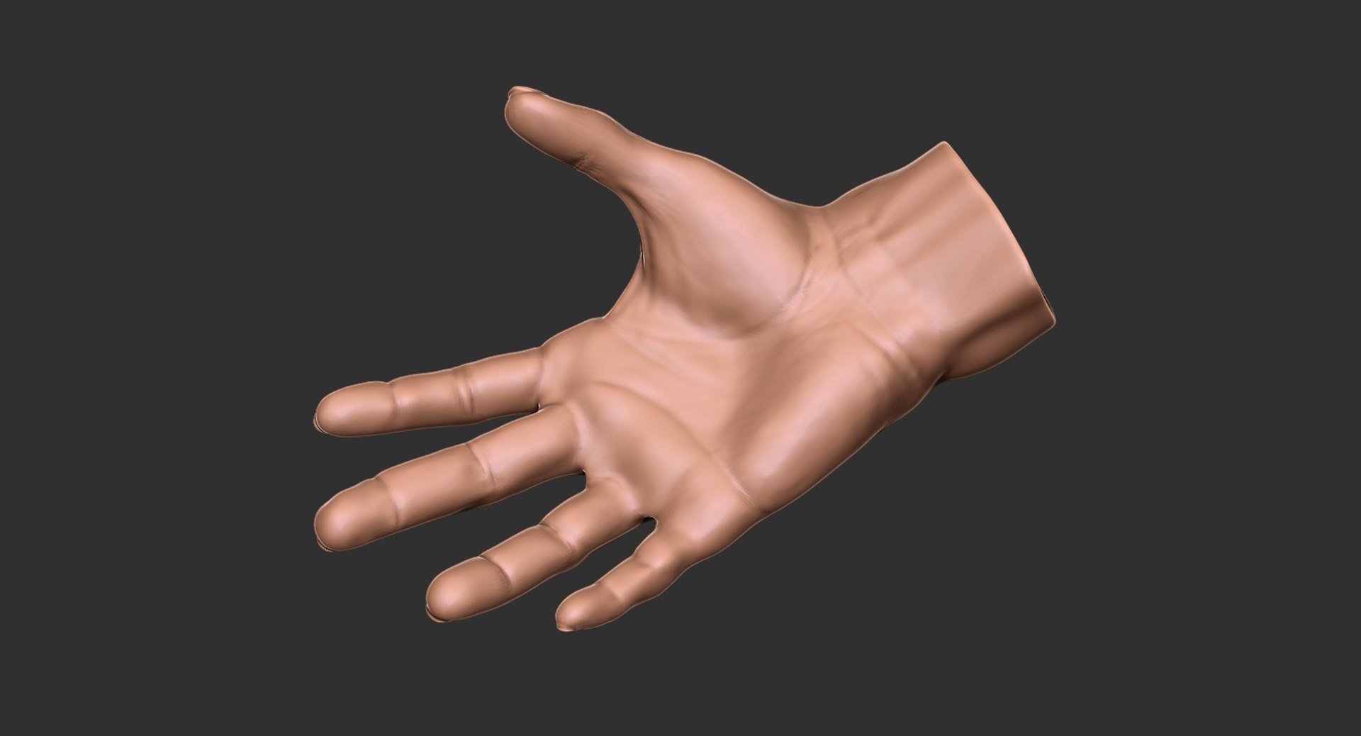 Human Muscular Hand 2019 3D - TurboSquid 1440075