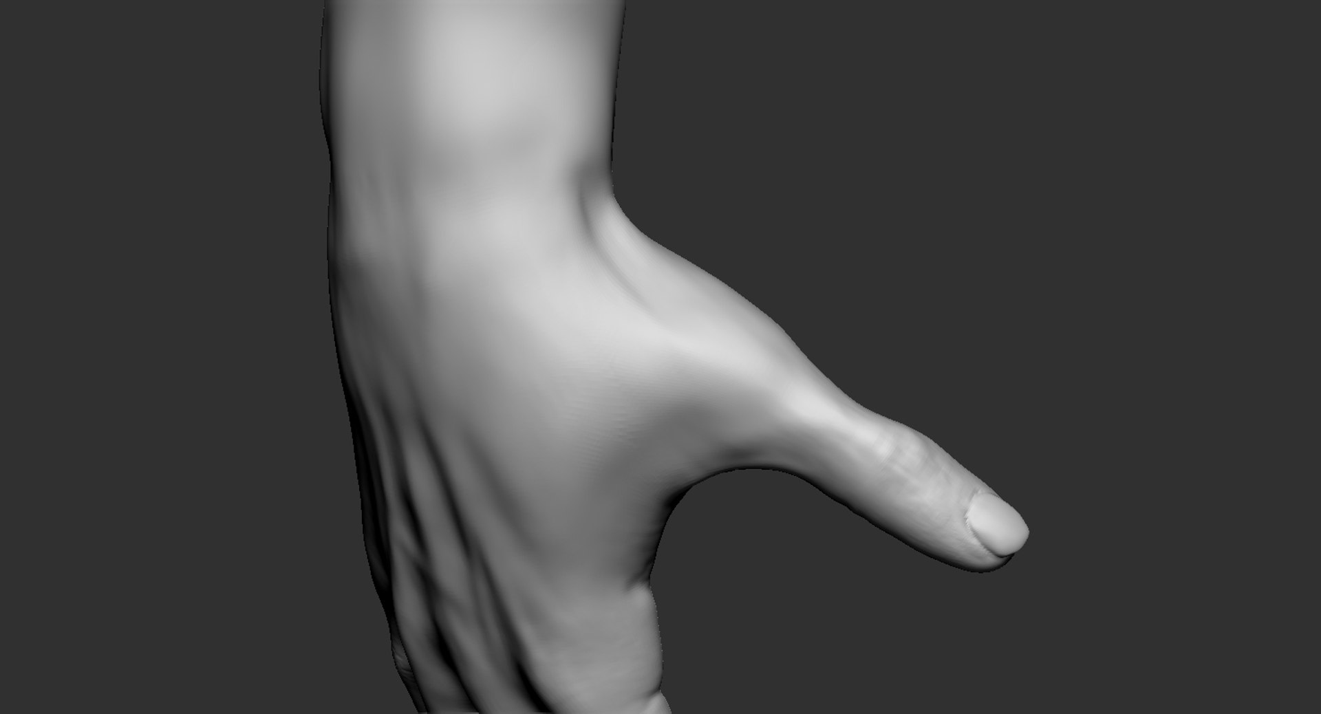 Human Muscular Hand 2019 3D - TurboSquid 1440075