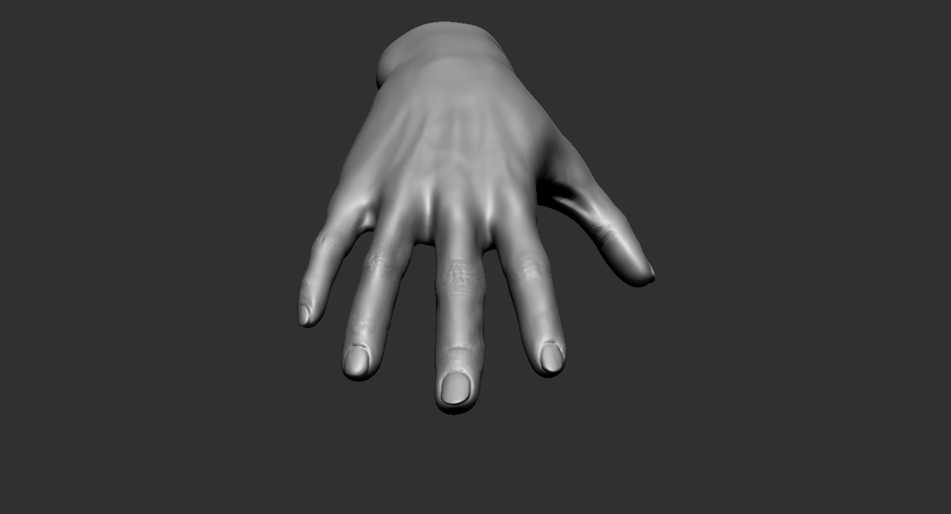 Human Muscular Hand 2019 3D - TurboSquid 1440075