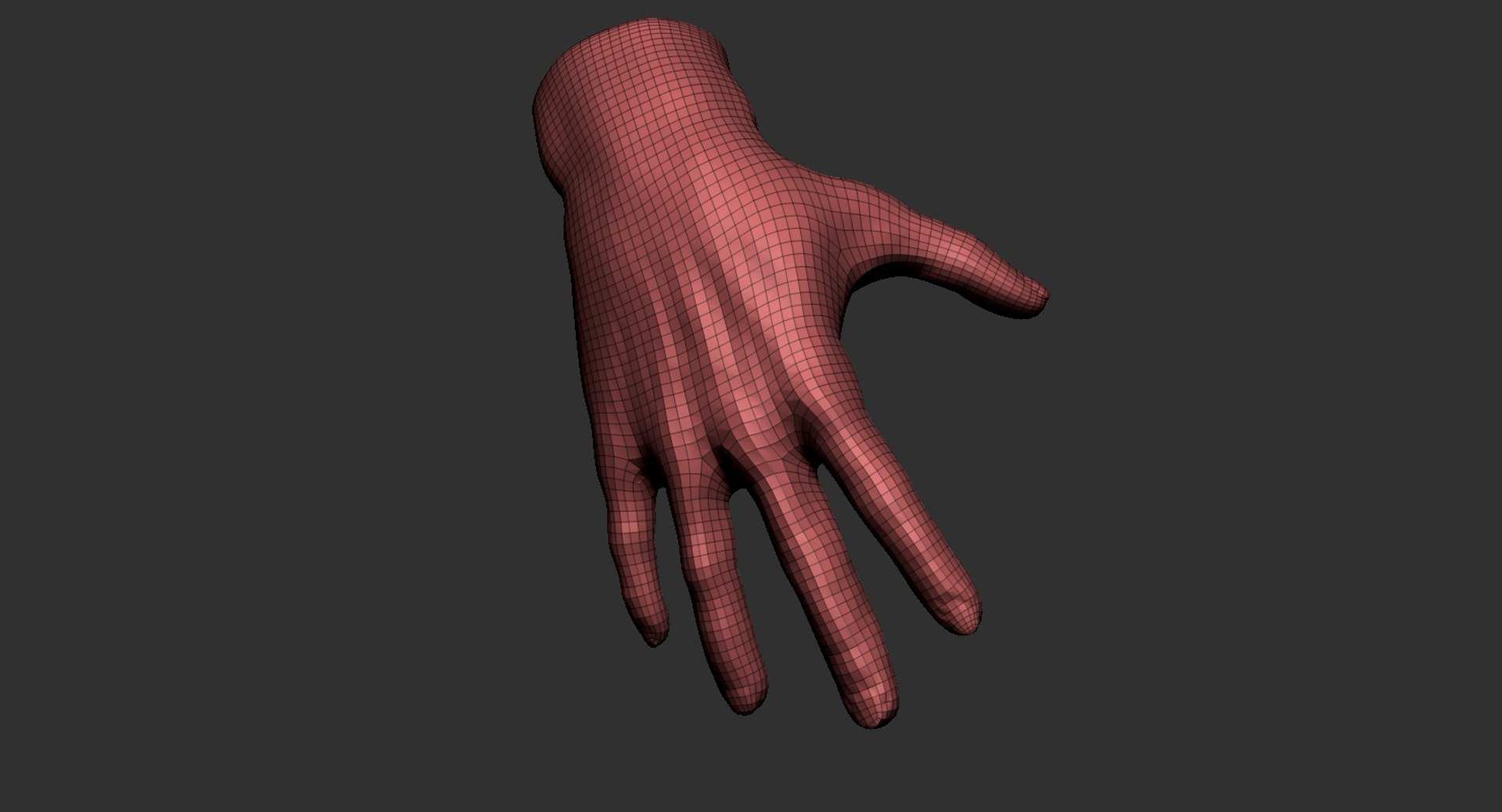Human Muscular Hand 2019 3D - TurboSquid 1440075