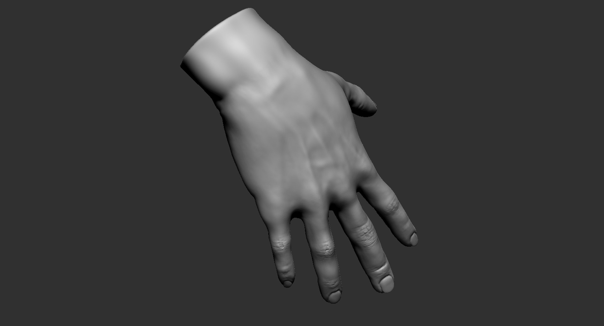 Human Muscular Hand 2019 3D - TurboSquid 1440075