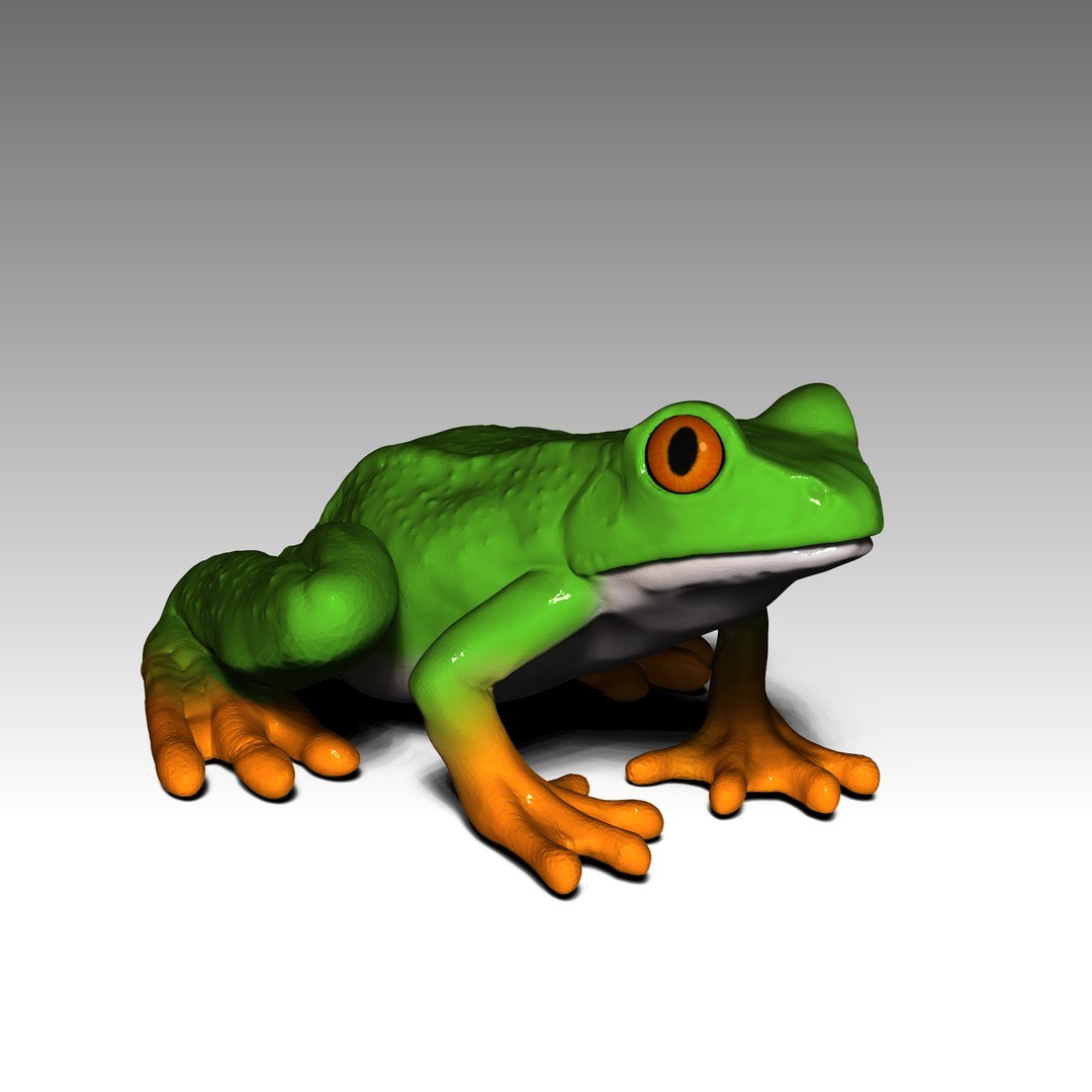 3D Rana - TurboSquid 2275540