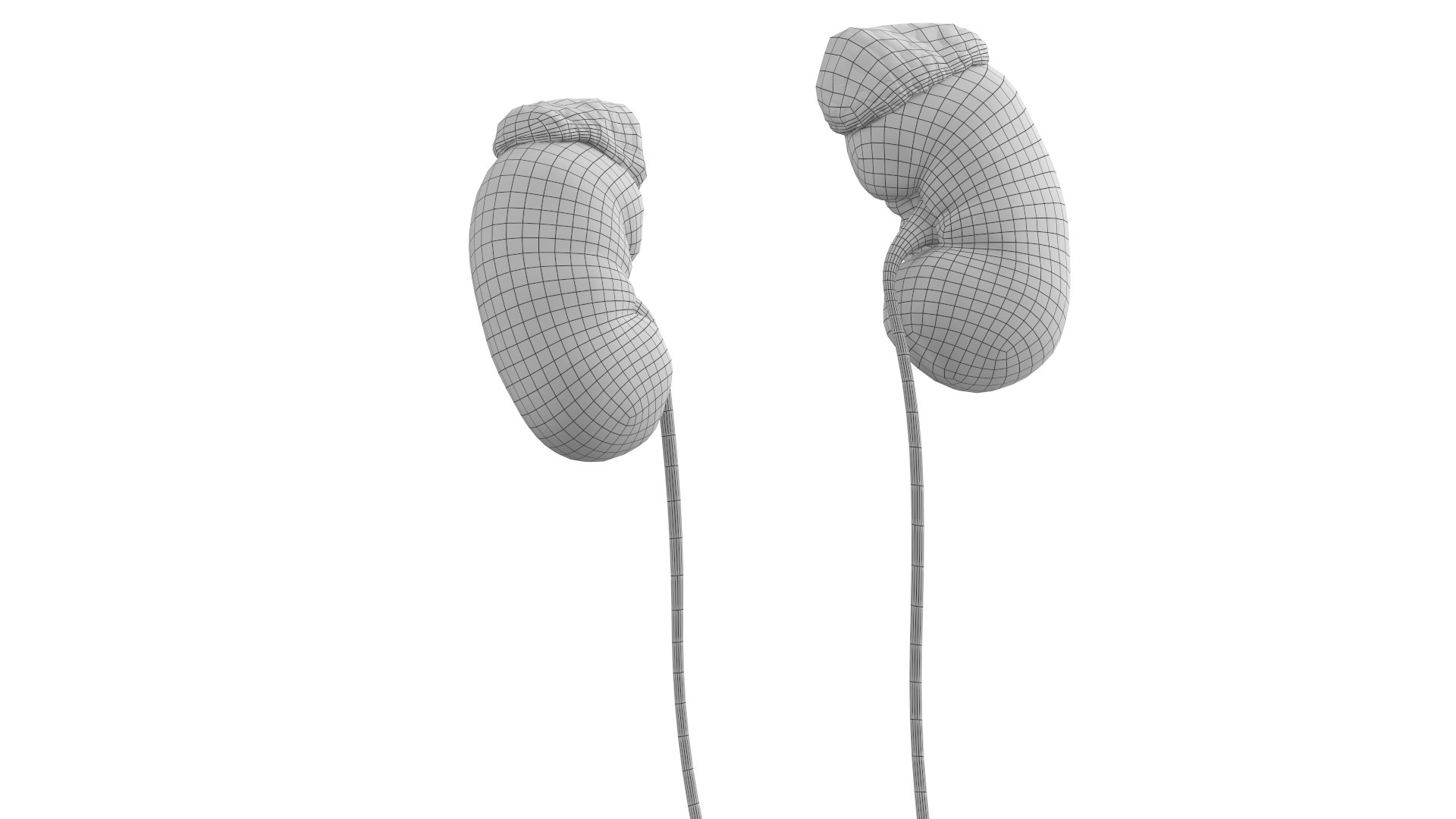 3D Human Male Urinary System - TurboSquid 2191684