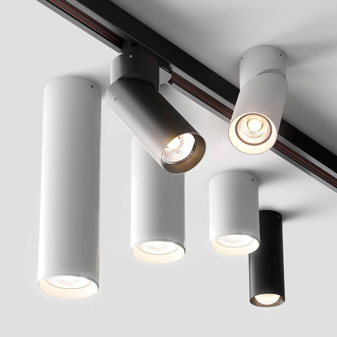 3D Model Rotto Pet - TurboSquid 1681679