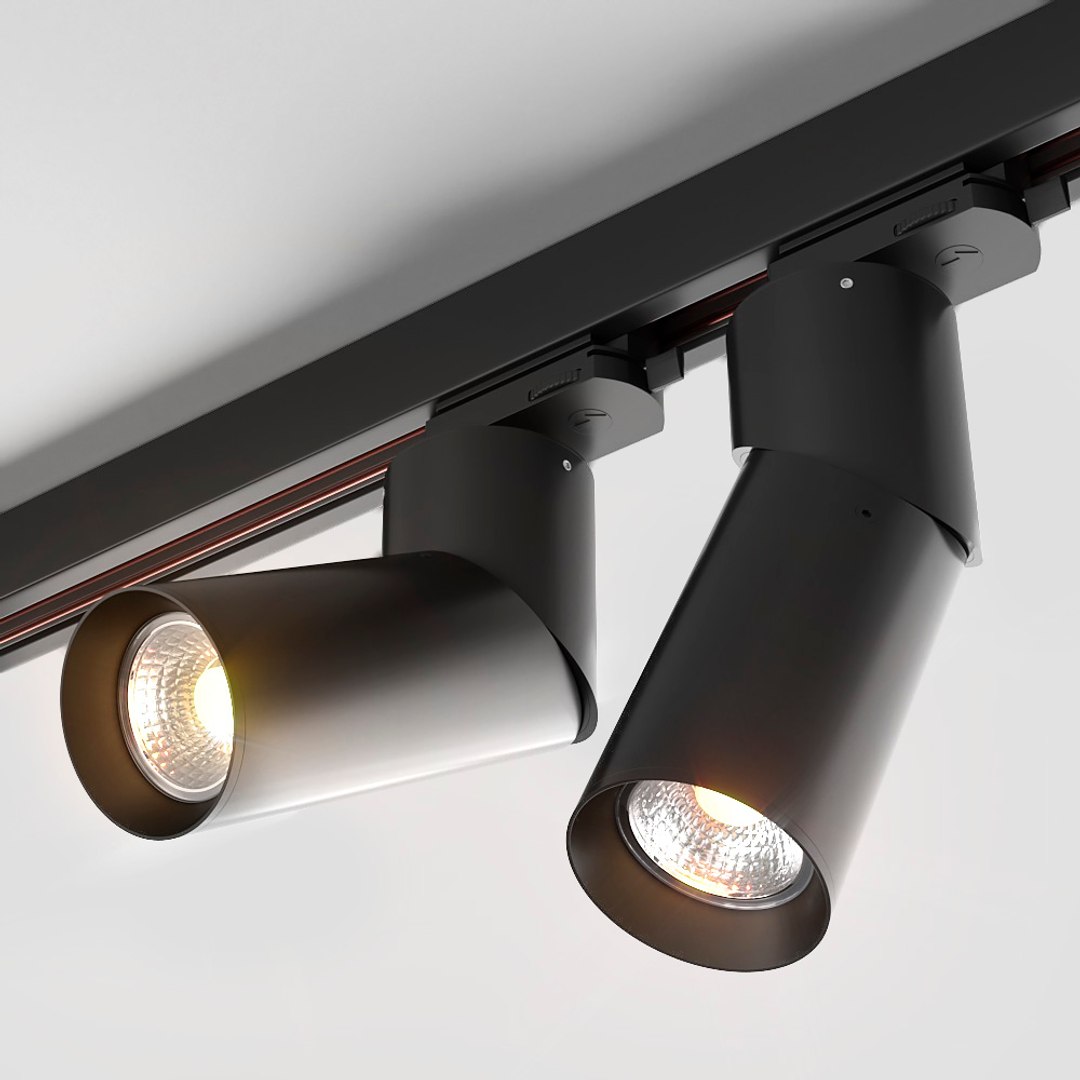 3D Model Rotto Pet - TurboSquid 1681679