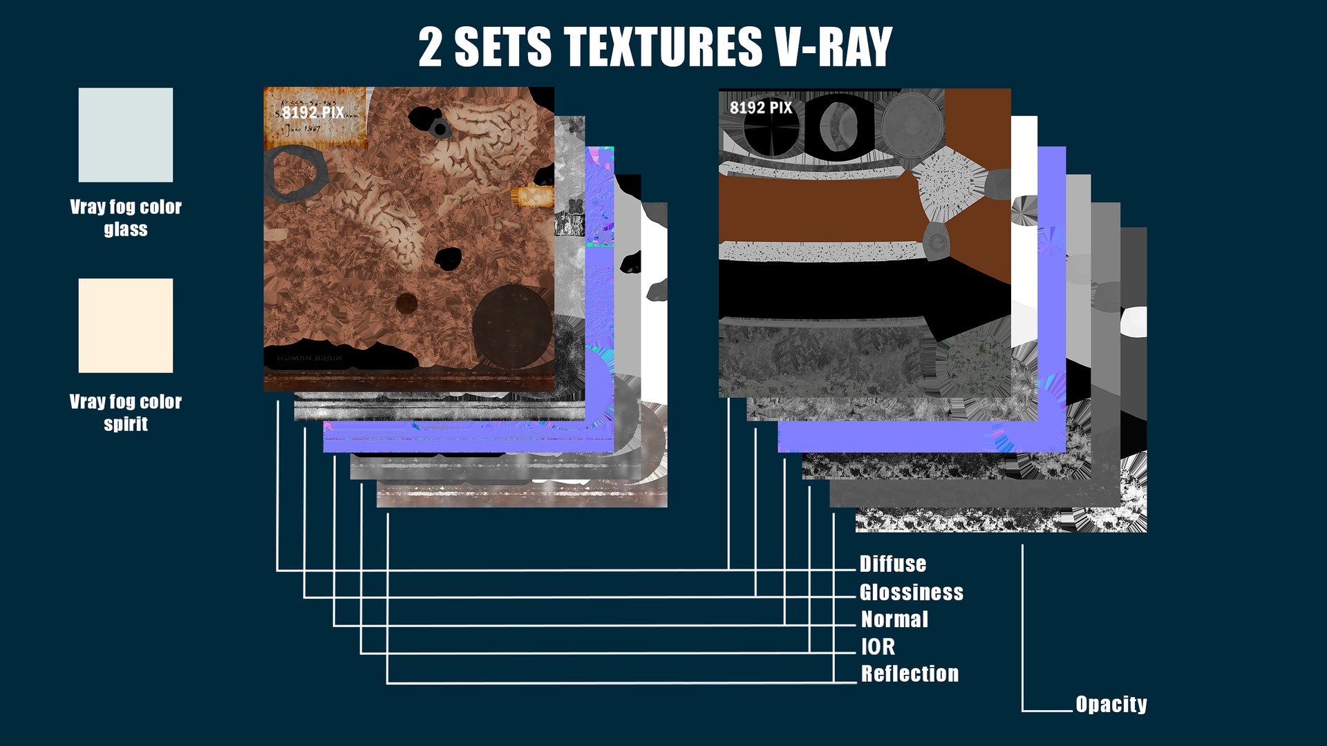 Vintage Organ Jar Human Brain PBR 3D Model - TurboSquid 2211562