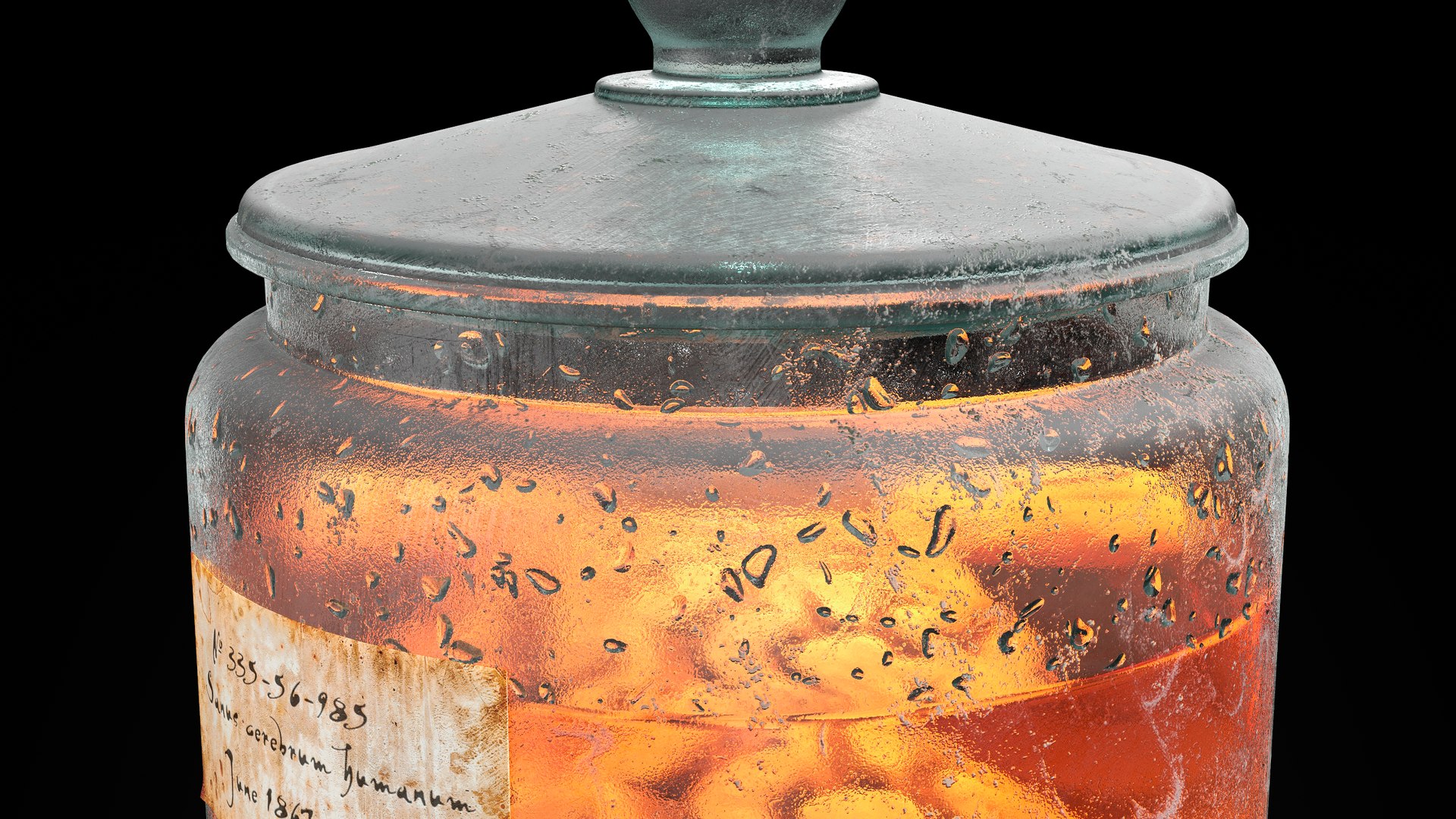 Vintage Organ Jar Human Brain PBR 3D Model - TurboSquid 2211562