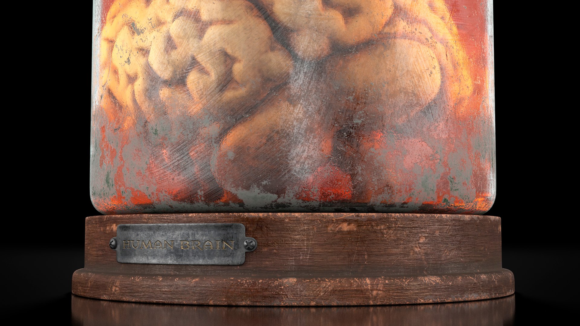 Vintage Organ Jar Human Brain PBR 3D Model - TurboSquid 2211562