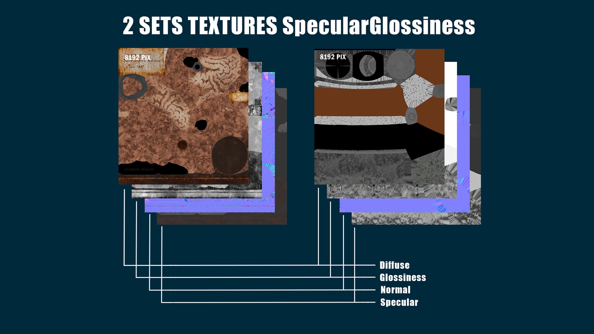 Vintage Organ Jar Human Brain PBR 3D Model - TurboSquid 2211562