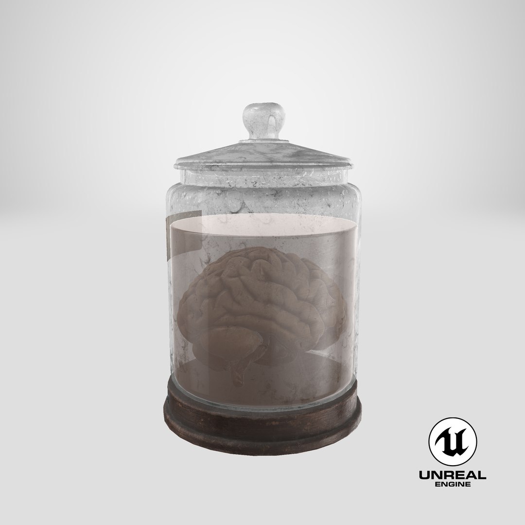 Vintage Organ Jar Human Brain PBR 3D Model - TurboSquid 2211562