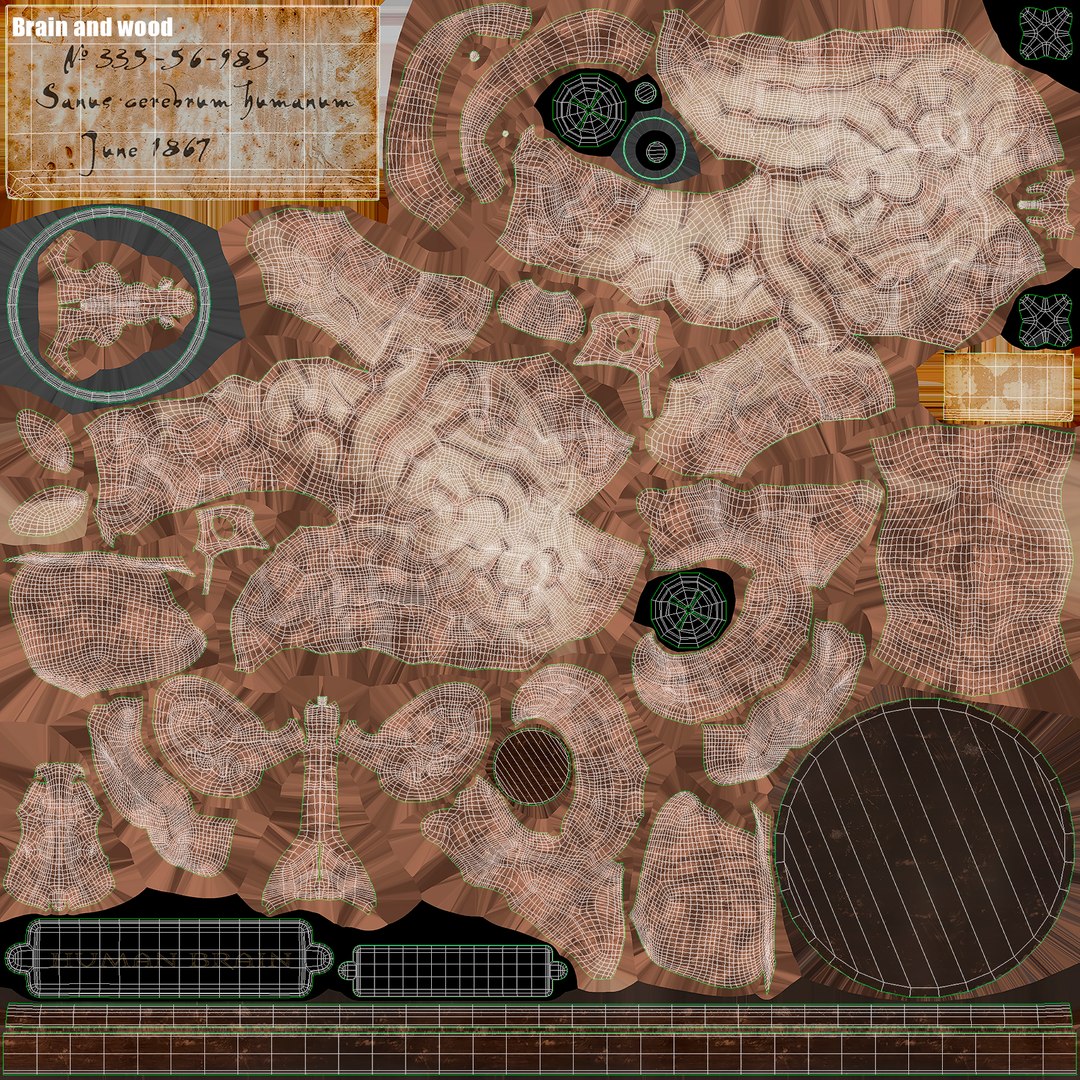 Vintage Organ Jar Human Brain PBR 3D Model - TurboSquid 2211562