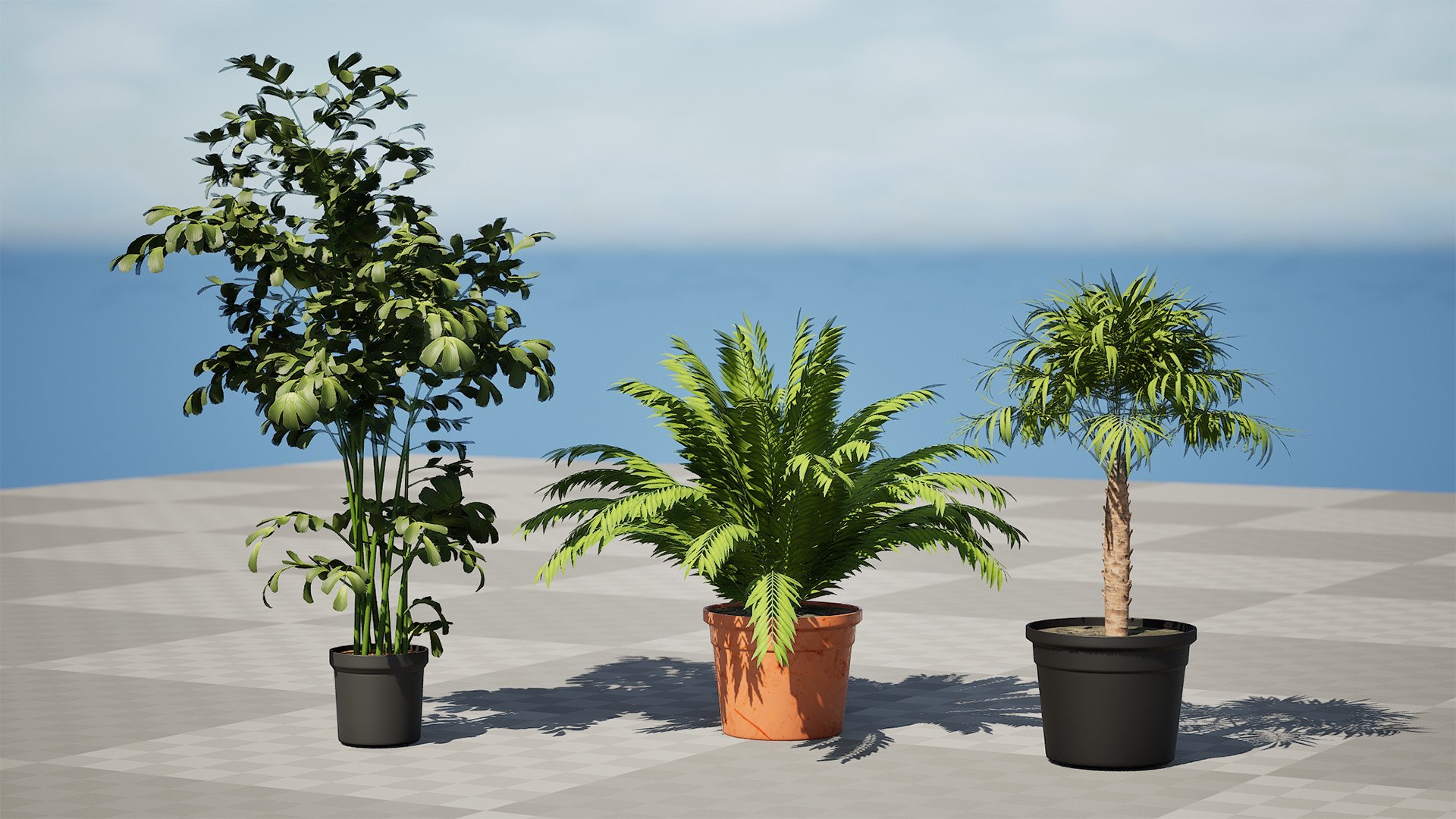 3D Realistic Palm Trees - Potted Collection - TurboSquid 2252391