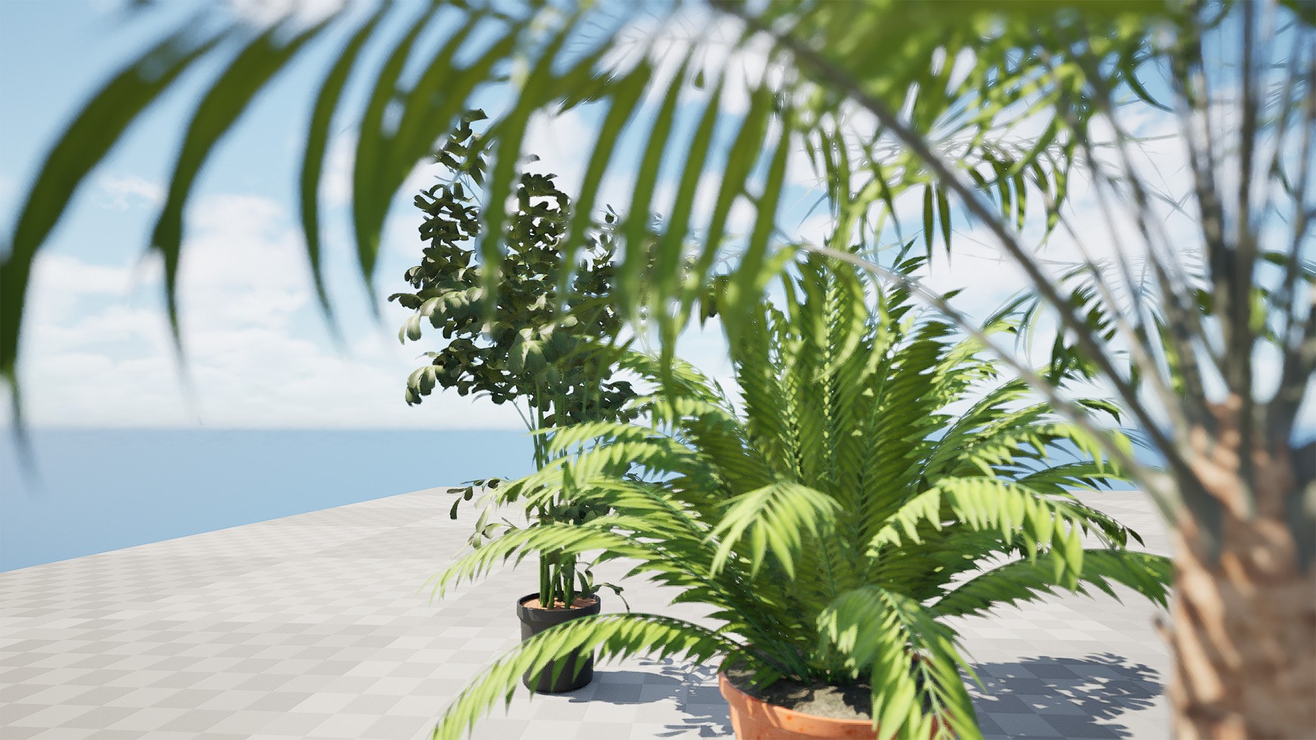 3D Realistic Palm Trees - Potted Collection - TurboSquid 2252391