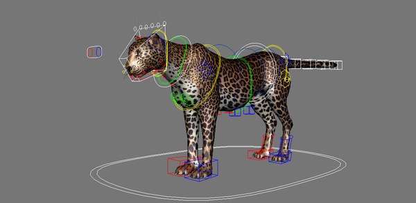 3d leopard