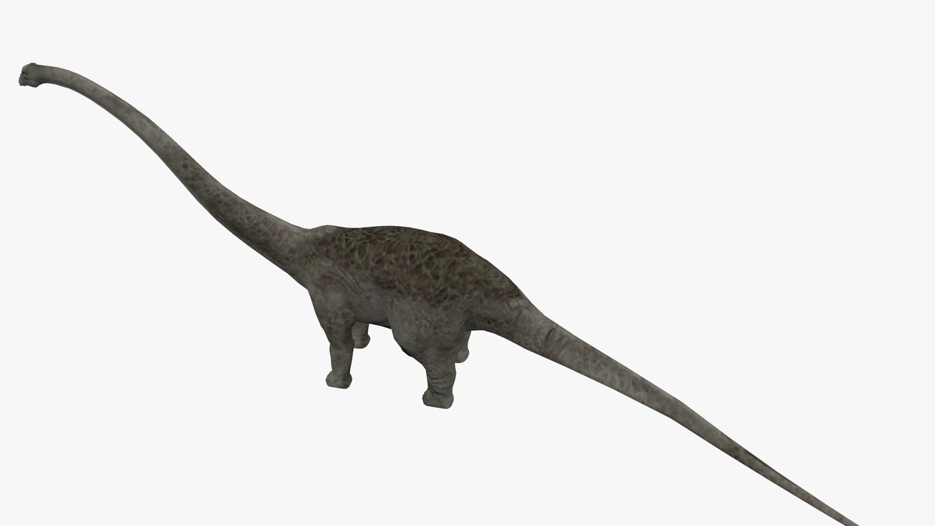 3ds Rigged Diclodocus Lod Levels