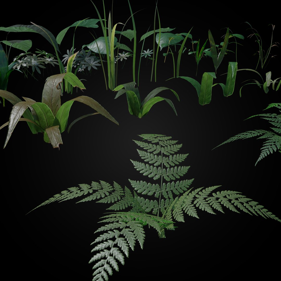 3D Small Plant Model - TurboSquid 1271066