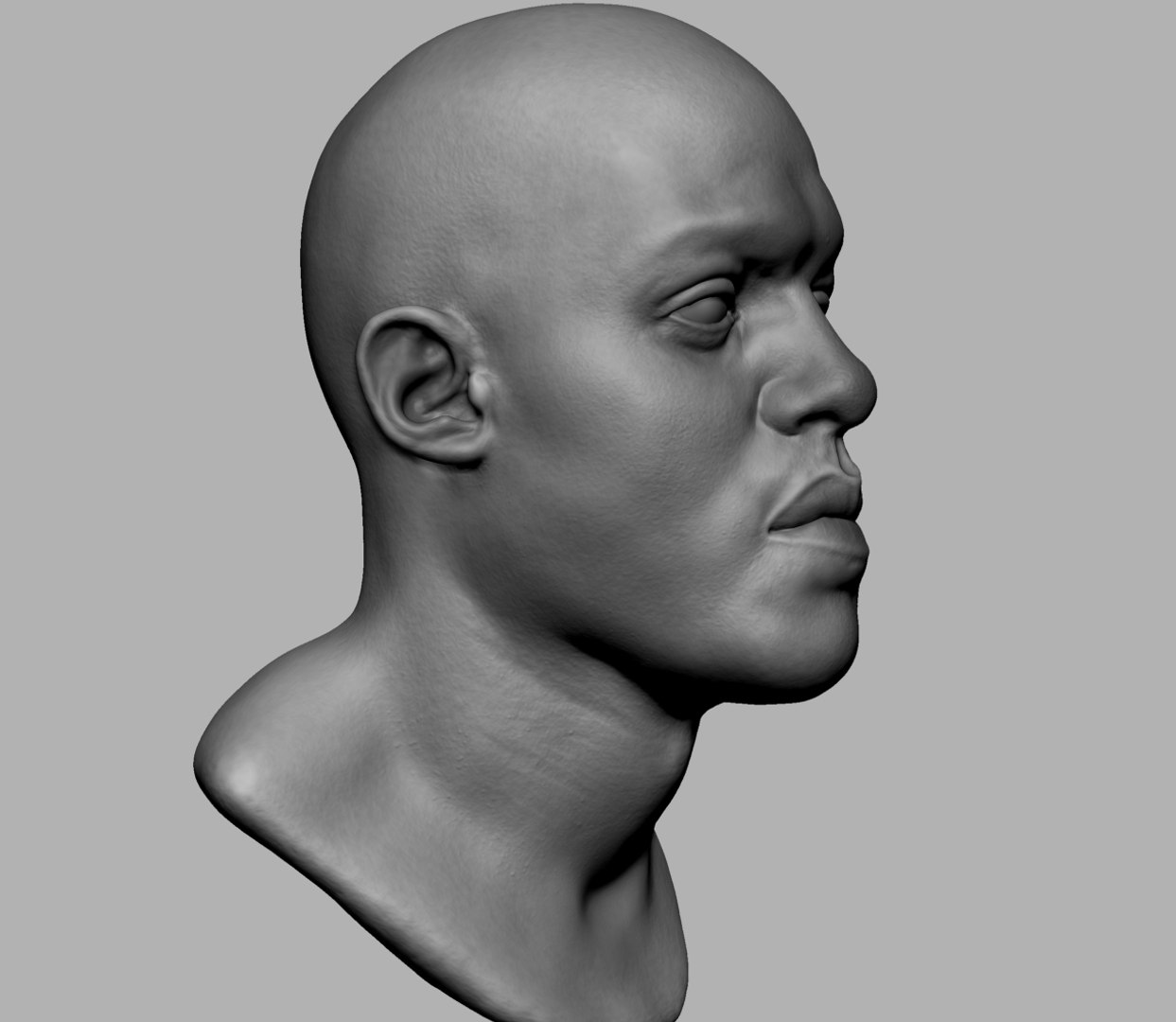 Male Head Model - TurboSquid 1441408