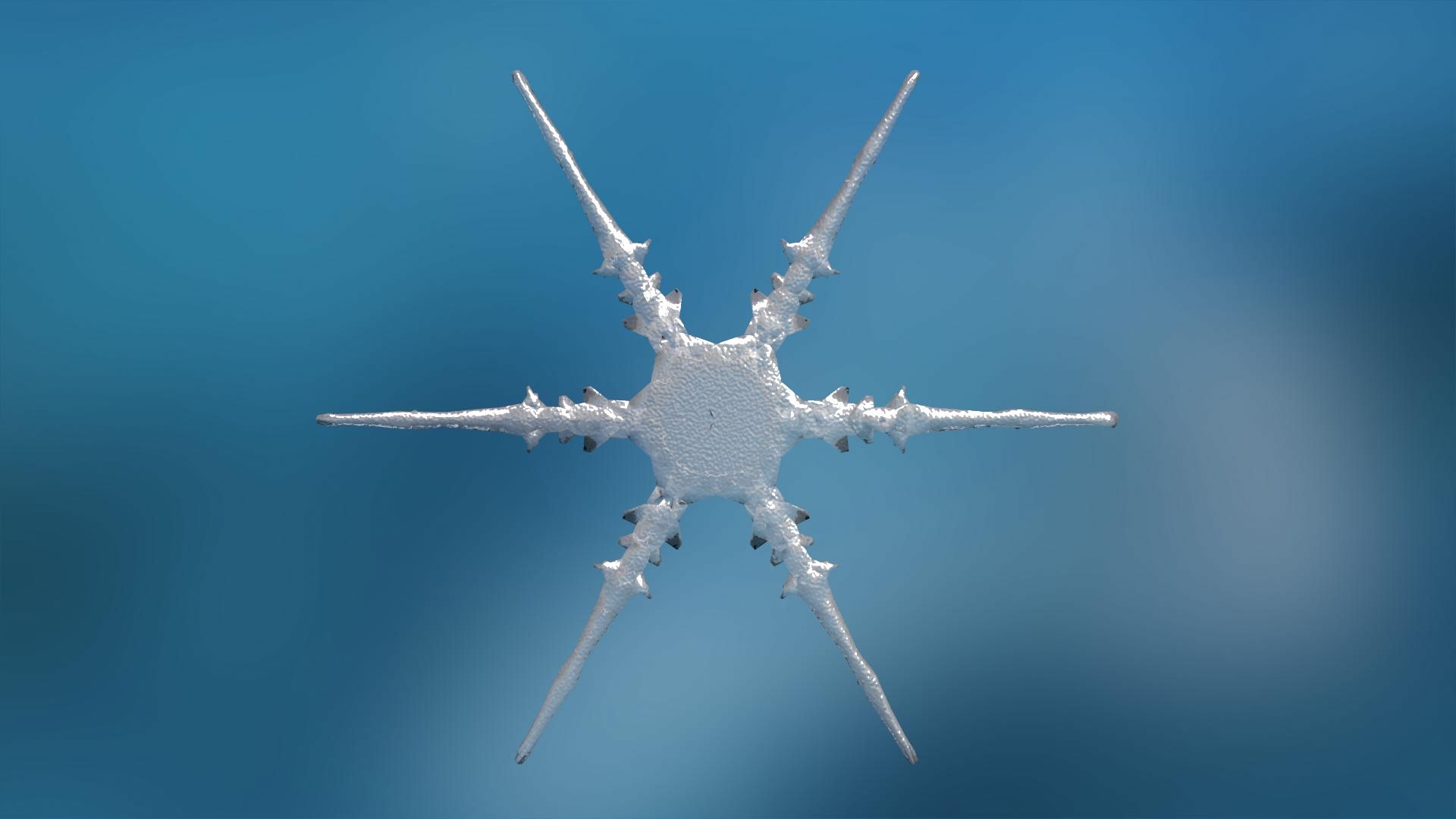 3d 16 unique snowflakes