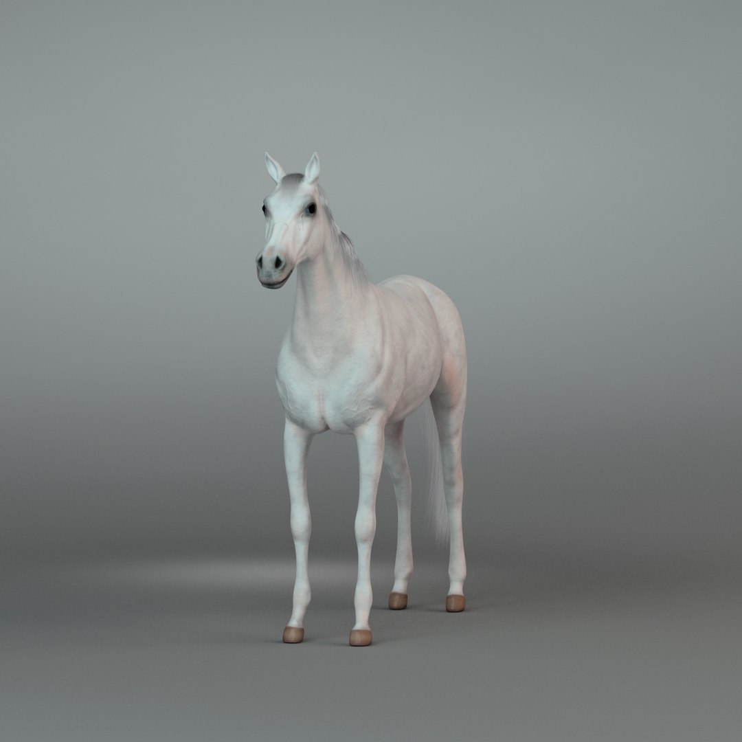 Horse Rider Trailer 3D Model - TurboSquid 1297697