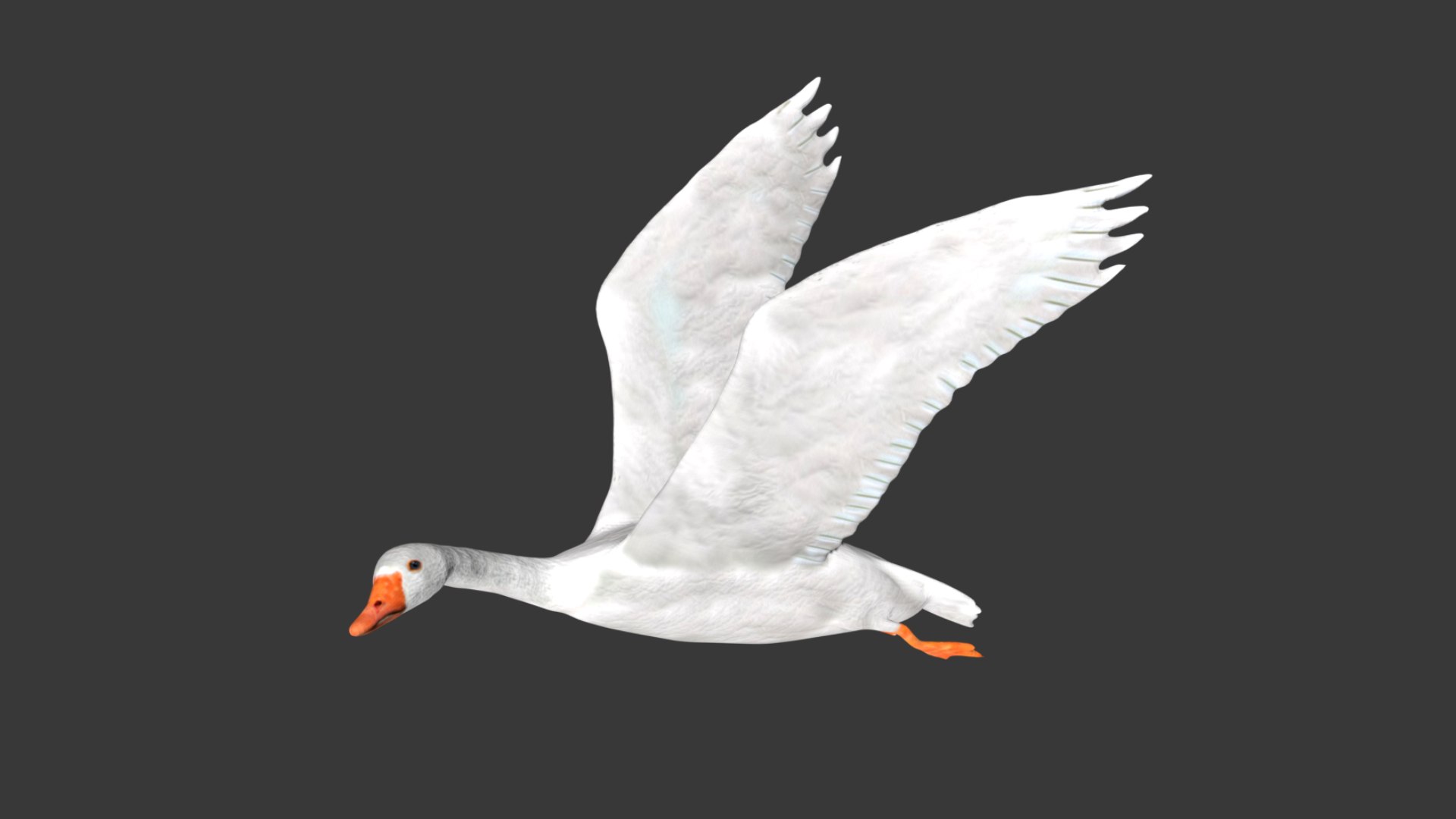3D Rigged Low Poly White Goose - TurboSquid 1762639