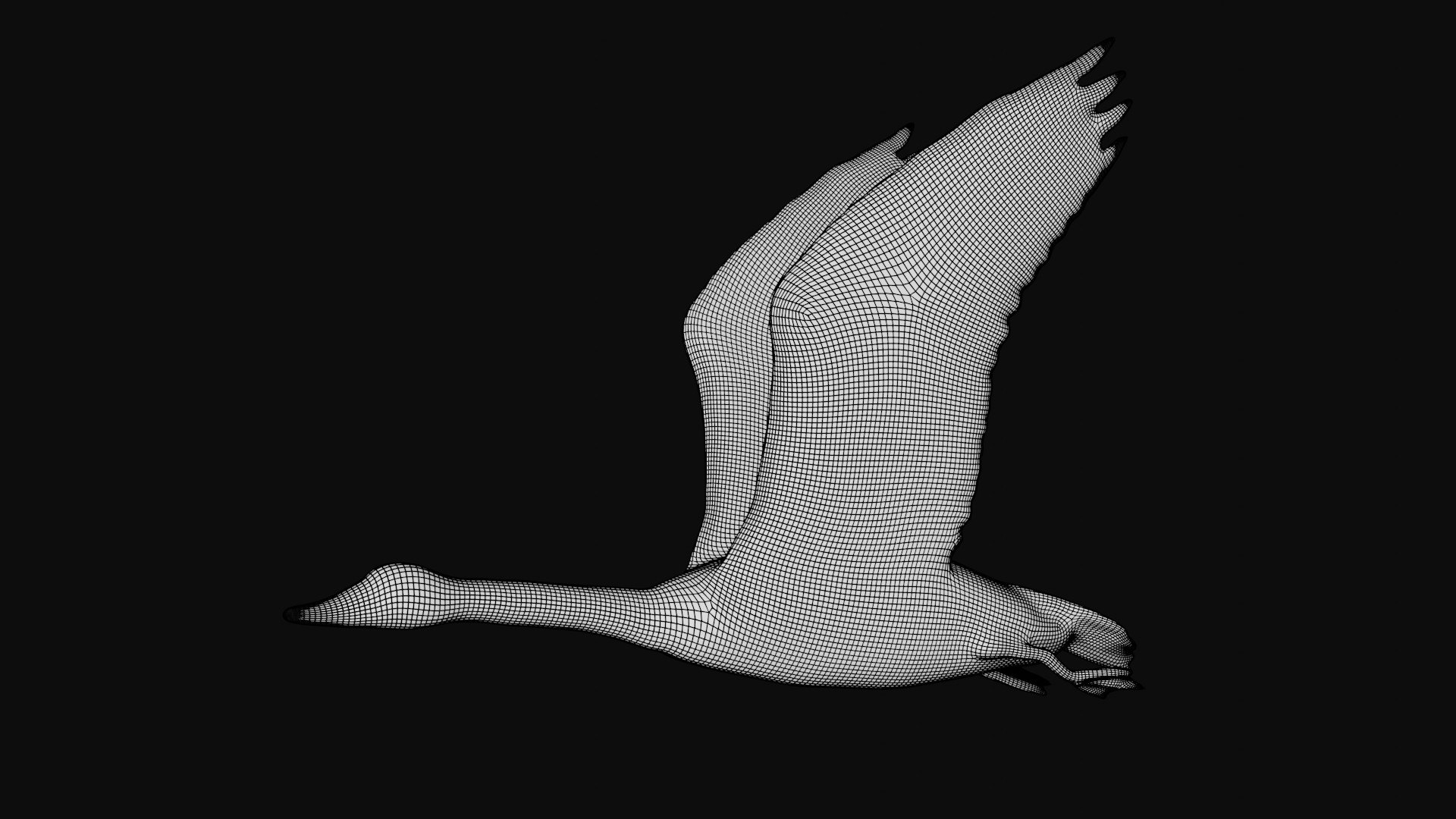 3D Rigged Low Poly White Goose - TurboSquid 1762639