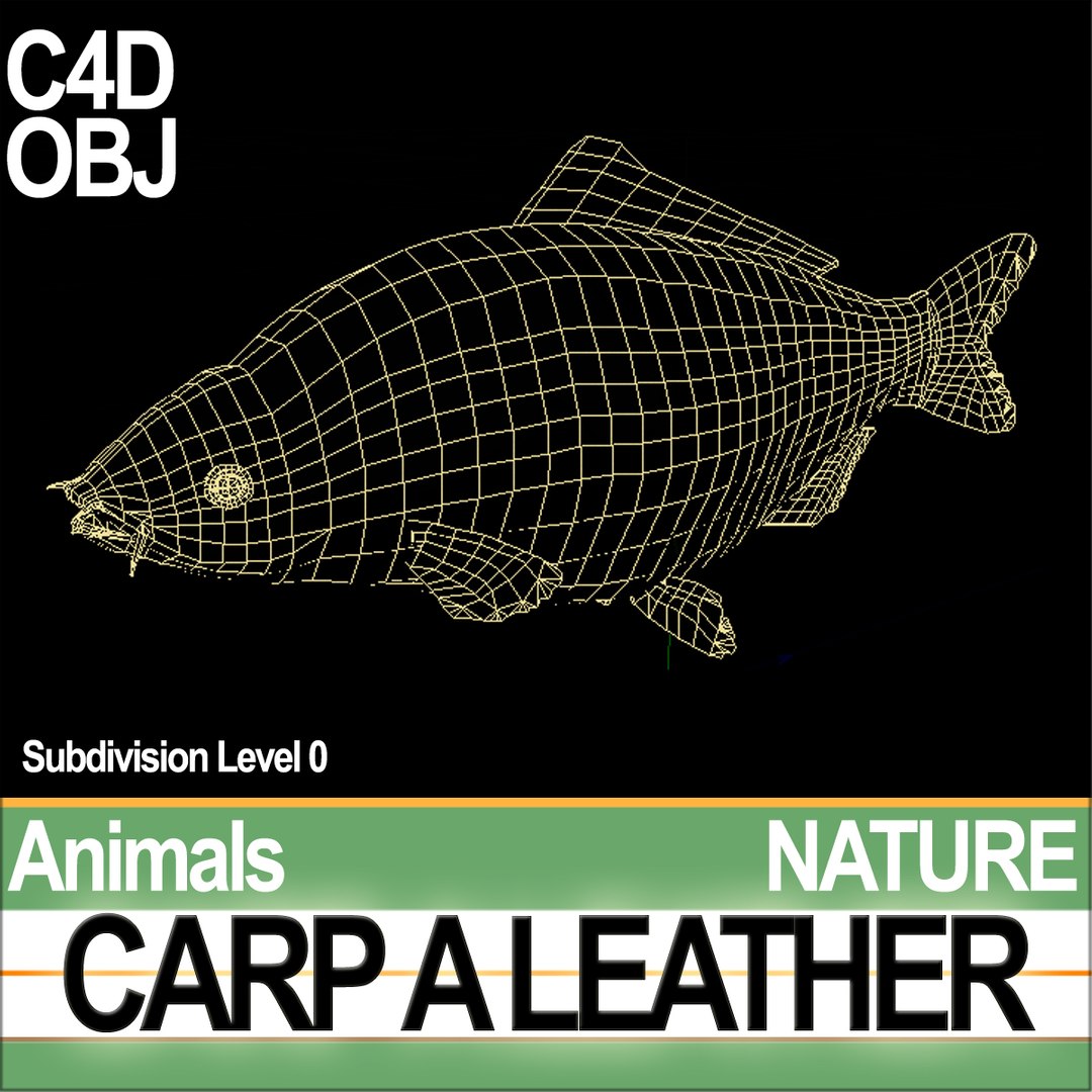 3D carp leather model - TurboSquid 1252617