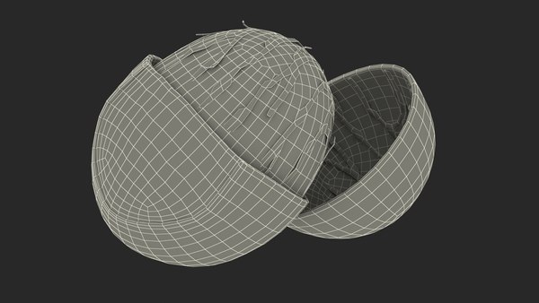 modelo 3d Colección de nueces abiertas 3 - TurboSquid 2191917