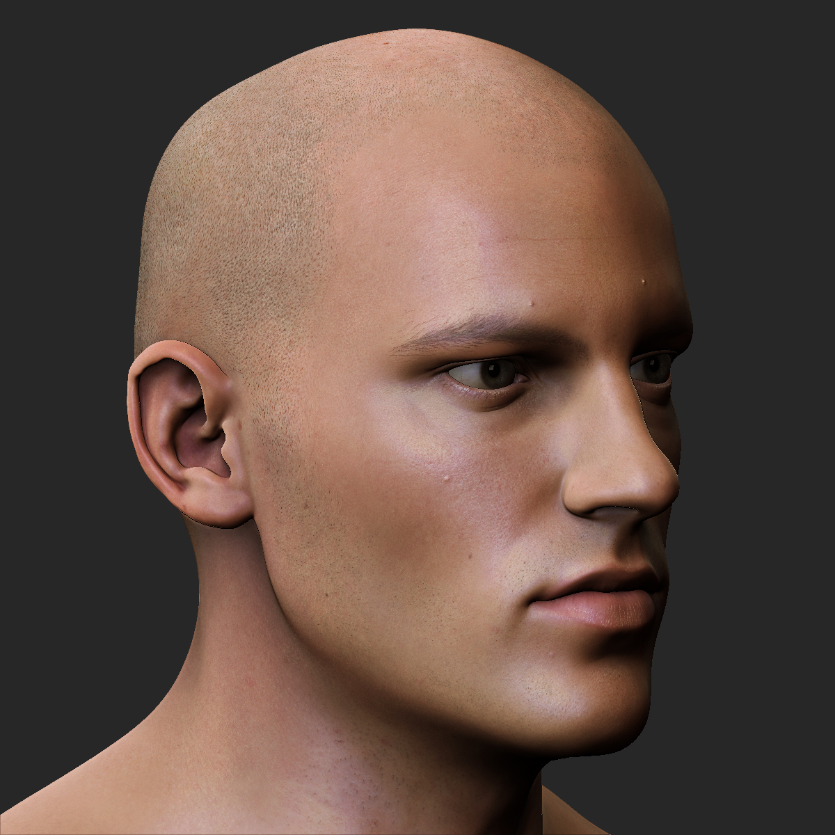 modelo 3d Cuerpo masculino realista - TurboSquid 703491