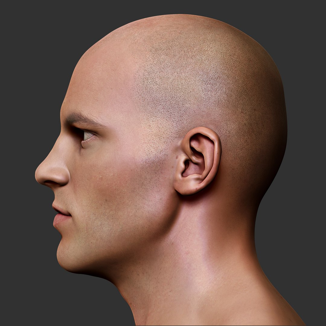 realistic male body character max