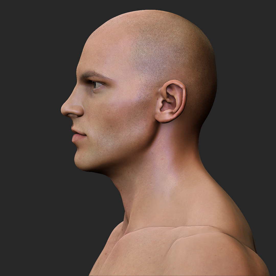 modelo 3d Cuerpo masculino realista - TurboSquid 703491