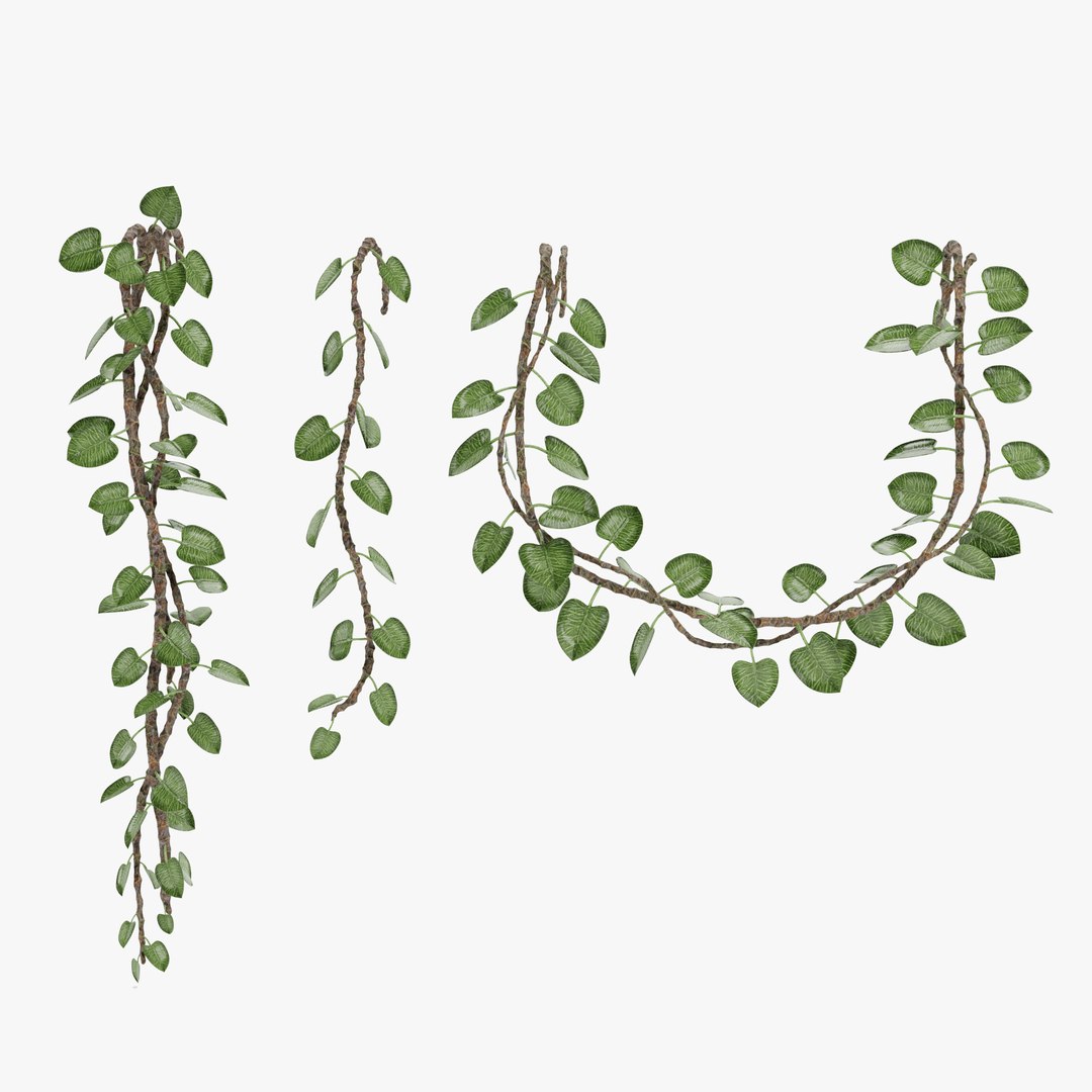 3D Liana Plant - TurboSquid 1682712