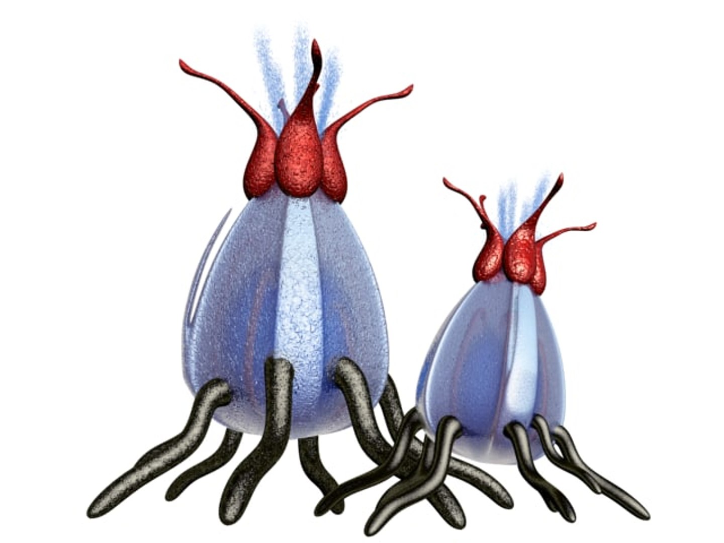Free Alien Plant Fauna 3d Model