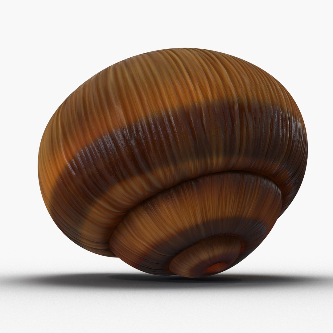Snail Shells 3d 3ds