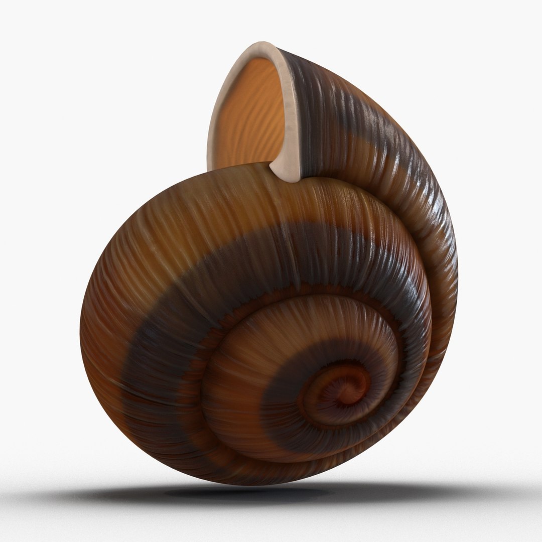 Snail Shells 3d 3ds